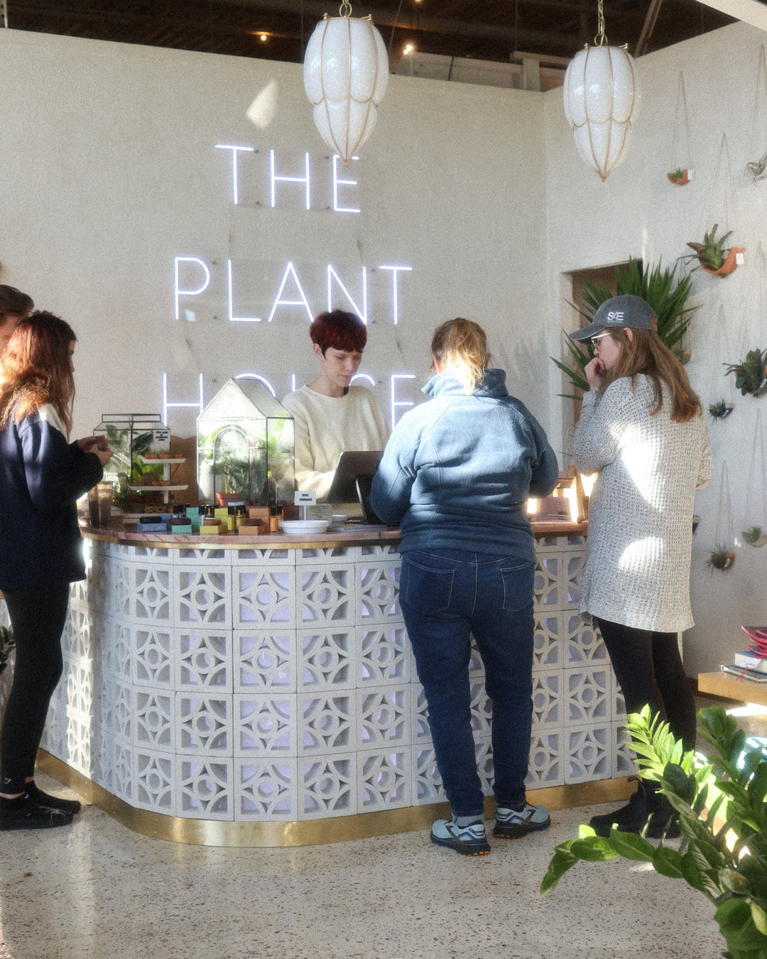OUR STORY – THE PLANT HOUSE