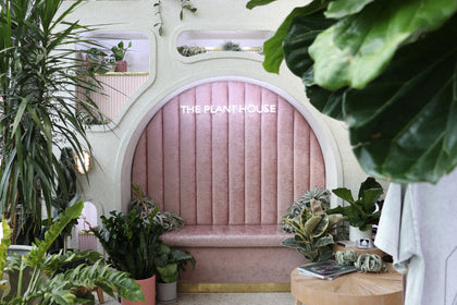 The Plant House – THE PLANT HOUSE